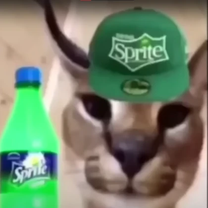 Spirte - Sprite