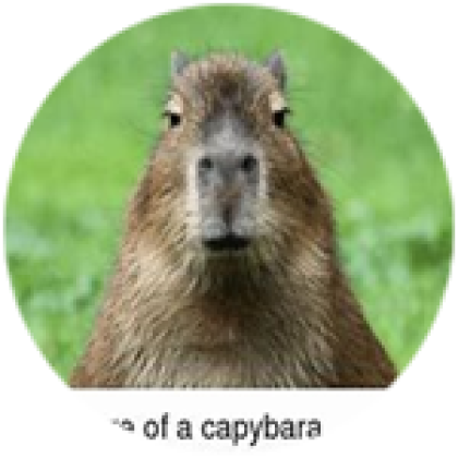 capybara - Roblox