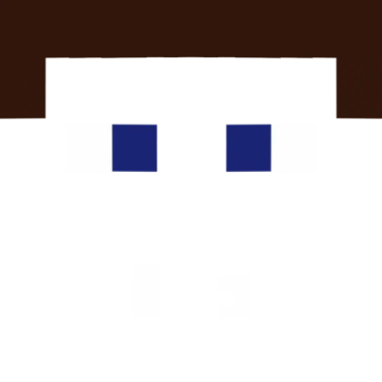 Minecraft Steve Face