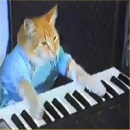 keyboard cat