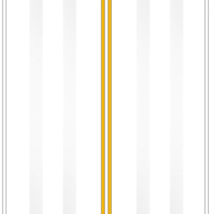 Road Marking | Double Solid Lines