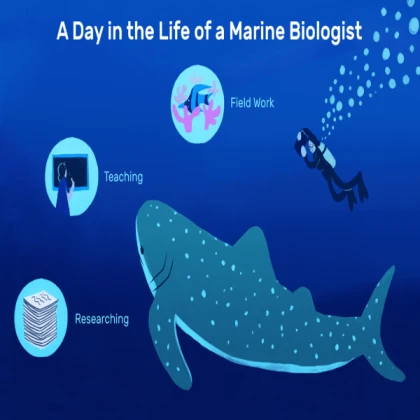 Marine biology poster
