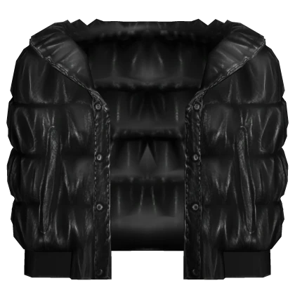 Black Leather Puffer Jacket (1.0) | Roblox Item - Rolimon's