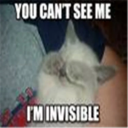 im invisible