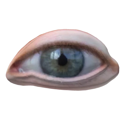 Realistic Eye | Roblox Item - Rolimon's