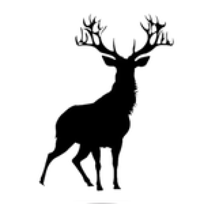 Board Of Directors - Roblox