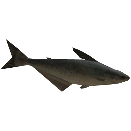 Cool Fish | Roblox Item - Rolimon's
