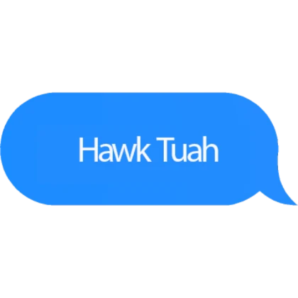Hawk Tuah