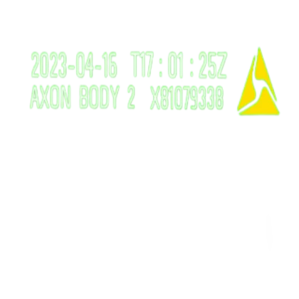 Axon Body 2