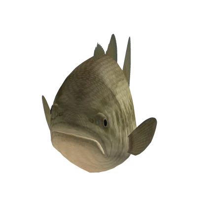 BIG fish | Roblox Item - Rolimon's