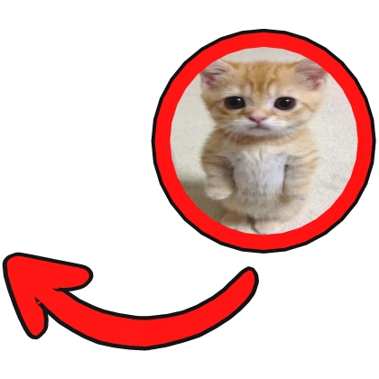 El Gato Red Pointing Meme Circle Sign | Roblox Item - Rolimon's