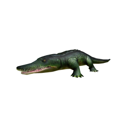 Crocodilo Bombardino 🐊 Cute Crocodile Animal | Roblox Item - Rolimon's
