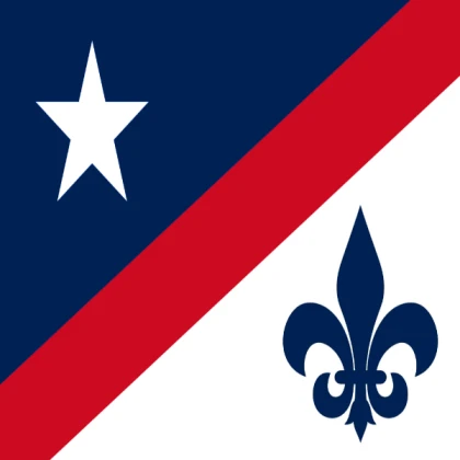 alt french flag