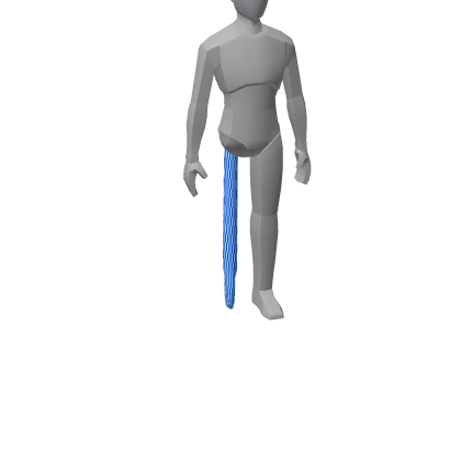 Mini Short - Right Leg | Roblox Item - Rolimon's