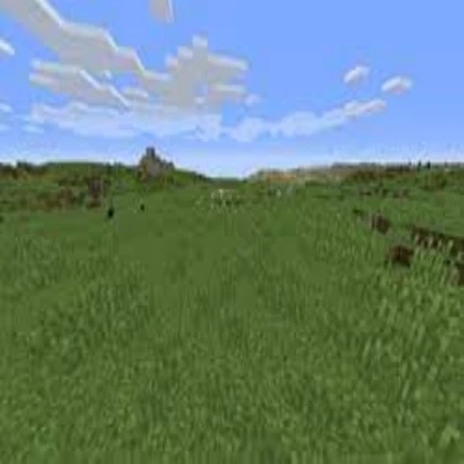 Minecraft Plains Biome