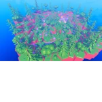 Discover - Roblox