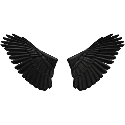 Black Wings | Roblox Item - Rolimon's