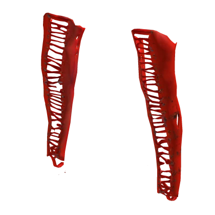 Red Socks | Roblox Item - Rolimon's