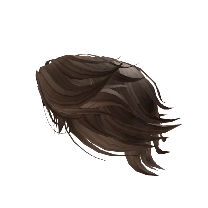 Hair | Roblox Item - Rolimon's