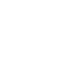 Fan Icon V2