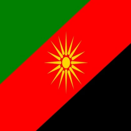 for iron assault flag