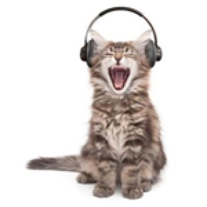 headshot (rendered) - Roblox