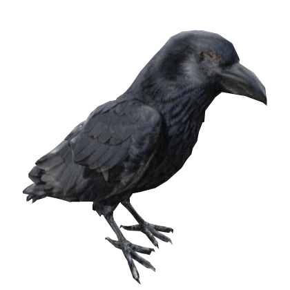 Raven Right Shoulder Pet | Roblox Item - Rolimon's