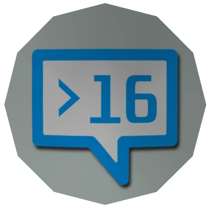 Over 16 Age Bracket Pin | Roblox Item - Rolimon's