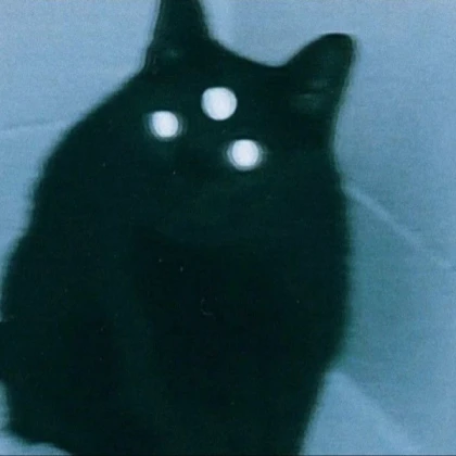 weirdcore cat :3