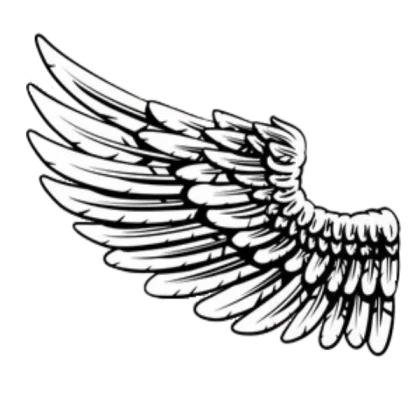 Images/Wing Particle