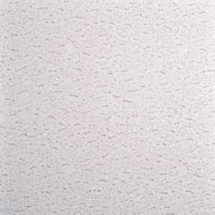 Ceiling tiles texture 2