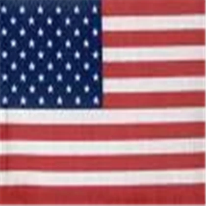 USA Flag