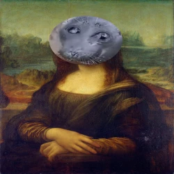 Mona seal