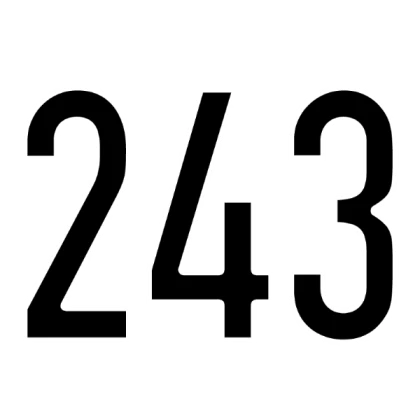 Black german tank number 243