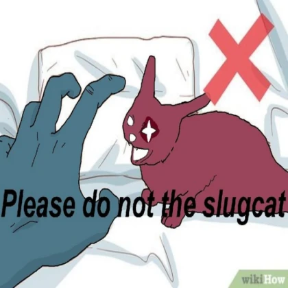 please to not the slugcat