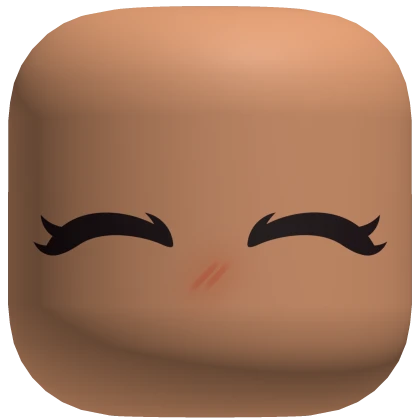 faces codes bloxburg