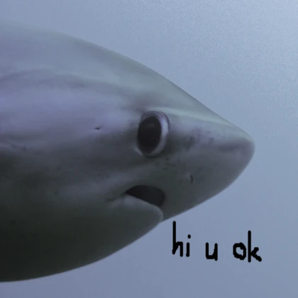 hi u ok