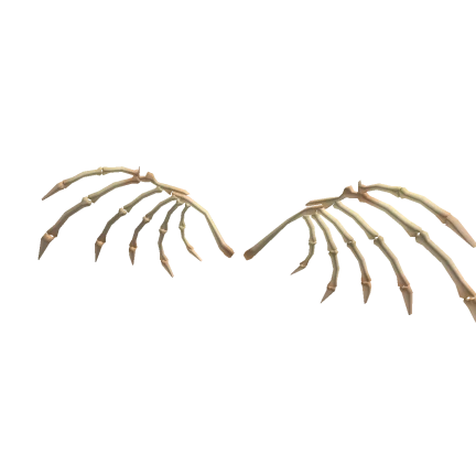 Asset Preview