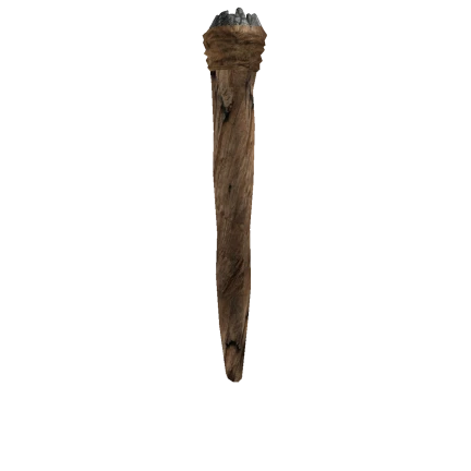 Asset Preview