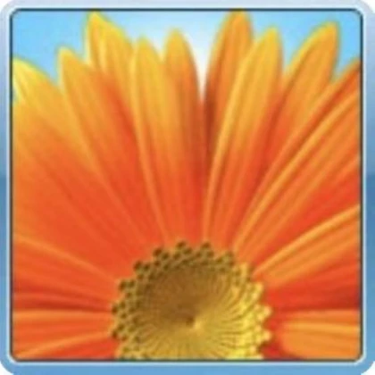 simple frutiger pfp - windows 7