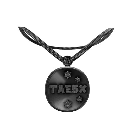 Tae5x 1of1 Custom Silver Chain | Roblox Item - Rolimon's