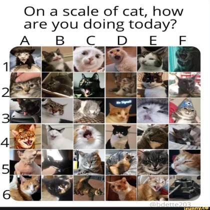 cat scale ( cute, funny, meme )