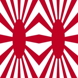 Flag Of Imperial Japan