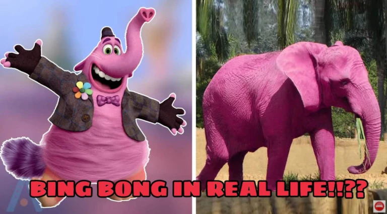 ¡Escapa de la Fun Bing Bong Party Mansion! (OBBY) - Roblox