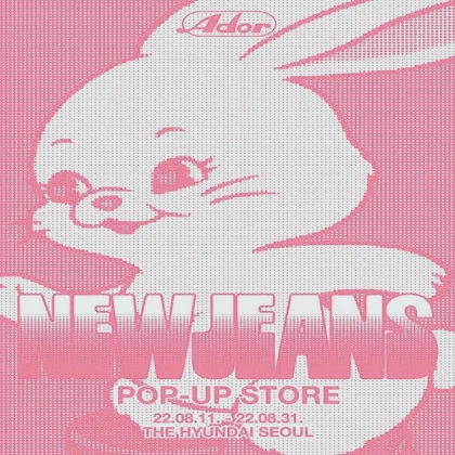 Pink new jeans tokki poster