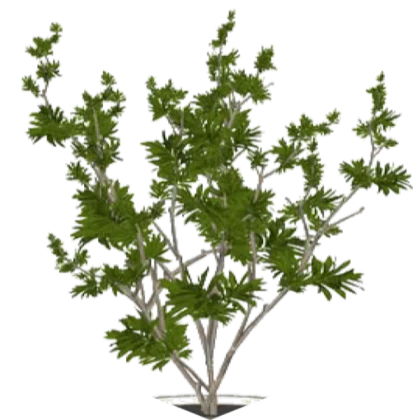 Roblox decal plant - house plant