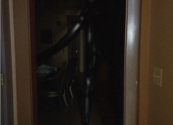 SCP TREVOR (NOVA ATUALIZAÇÃO!) - Roblox