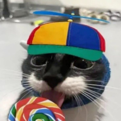 behold my power