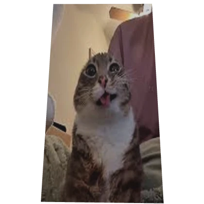 Rigby Cape | Roblox Item - Rolimon's