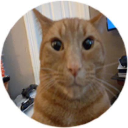 Custom chat tag - Roblox